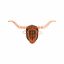 Longhorn Trophy Head – A. Garcia Crafts